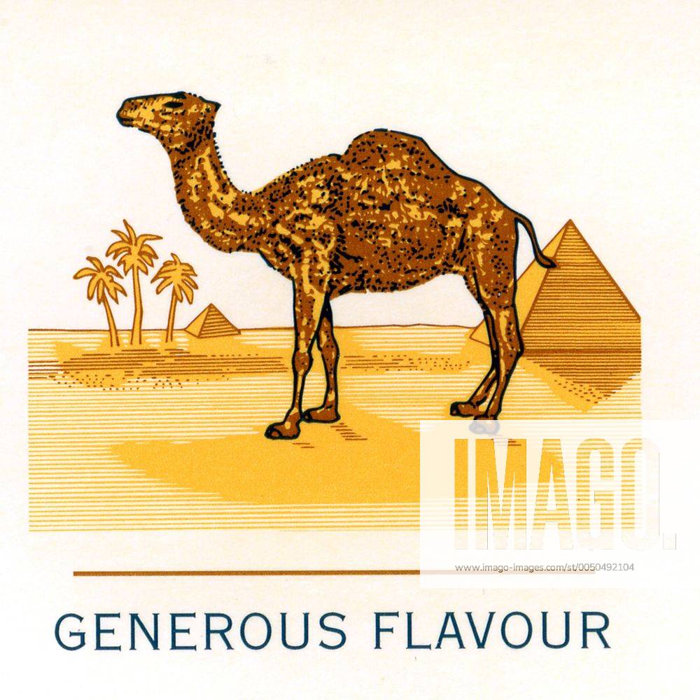 Camel Logo Subliminal