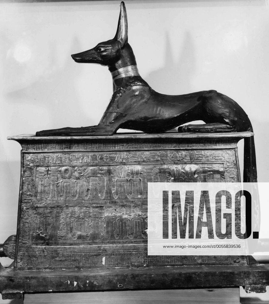 Egyptian Jackal Statue Sitting Anubis Statue
