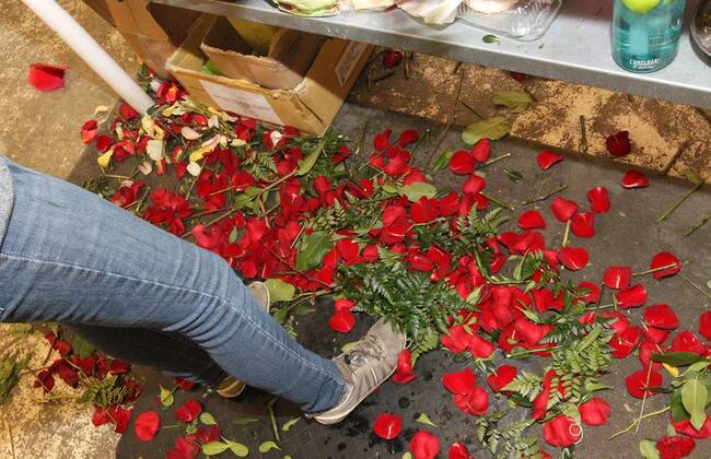Tina Saunders Stockfotos – Hochwertige Bilder zur Lizenzierung | IMAGO