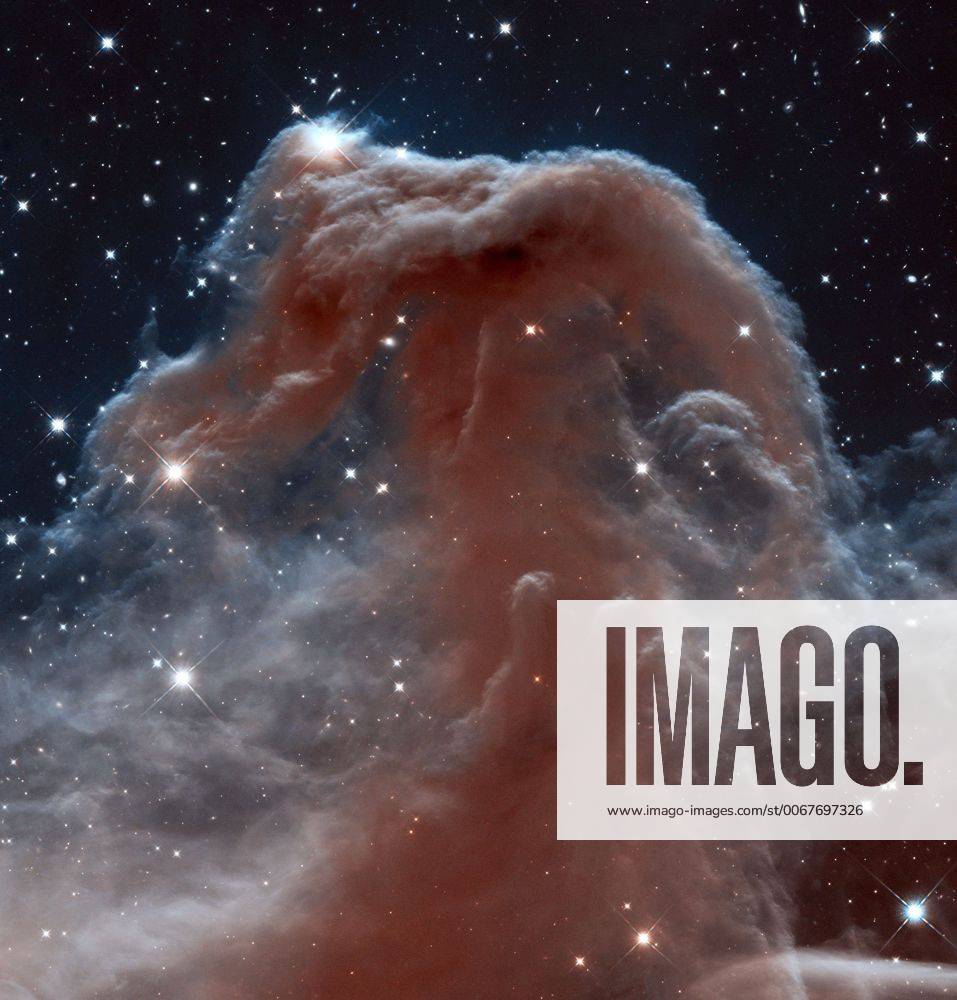 Hubblesite Image The Horsehead Nebula