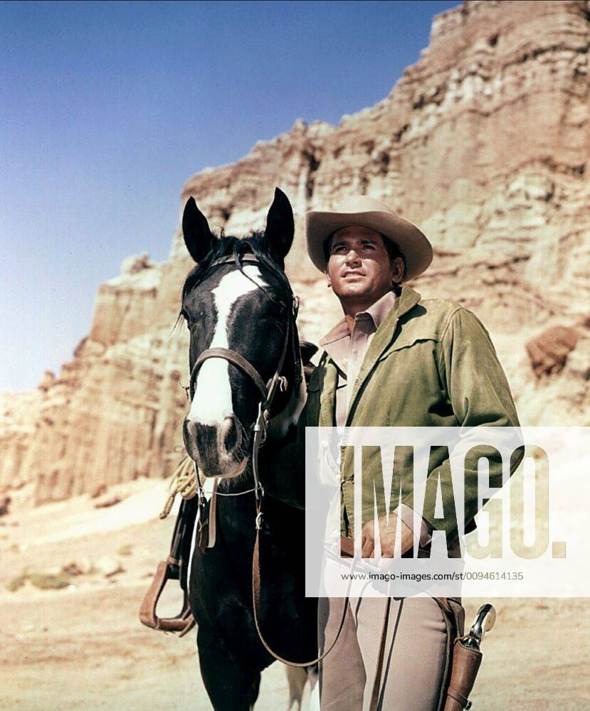 Bonanza Little Joe Horse