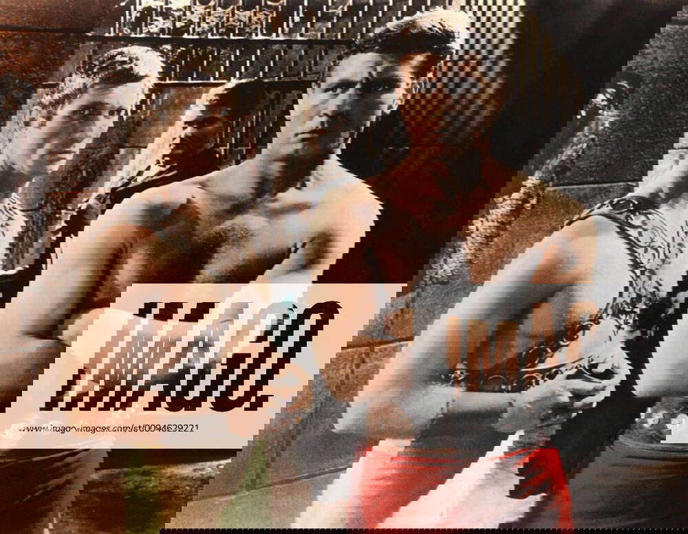 Gordon Mitchell Gordon Mitchell | The Anaconda Series Wiki | Fandom