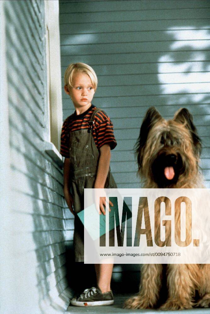 Dennis The Menace Movie Dog