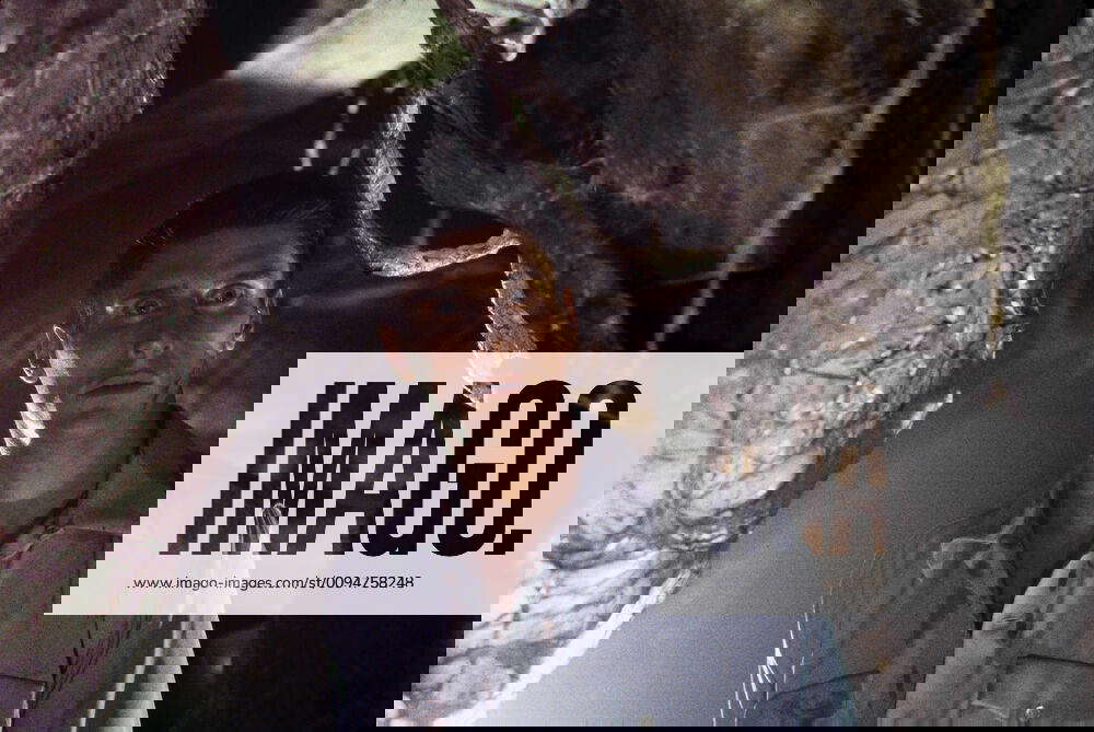 Species Patrick Patrick Lynch: "A Page Spread On Nocturnal Hunters In