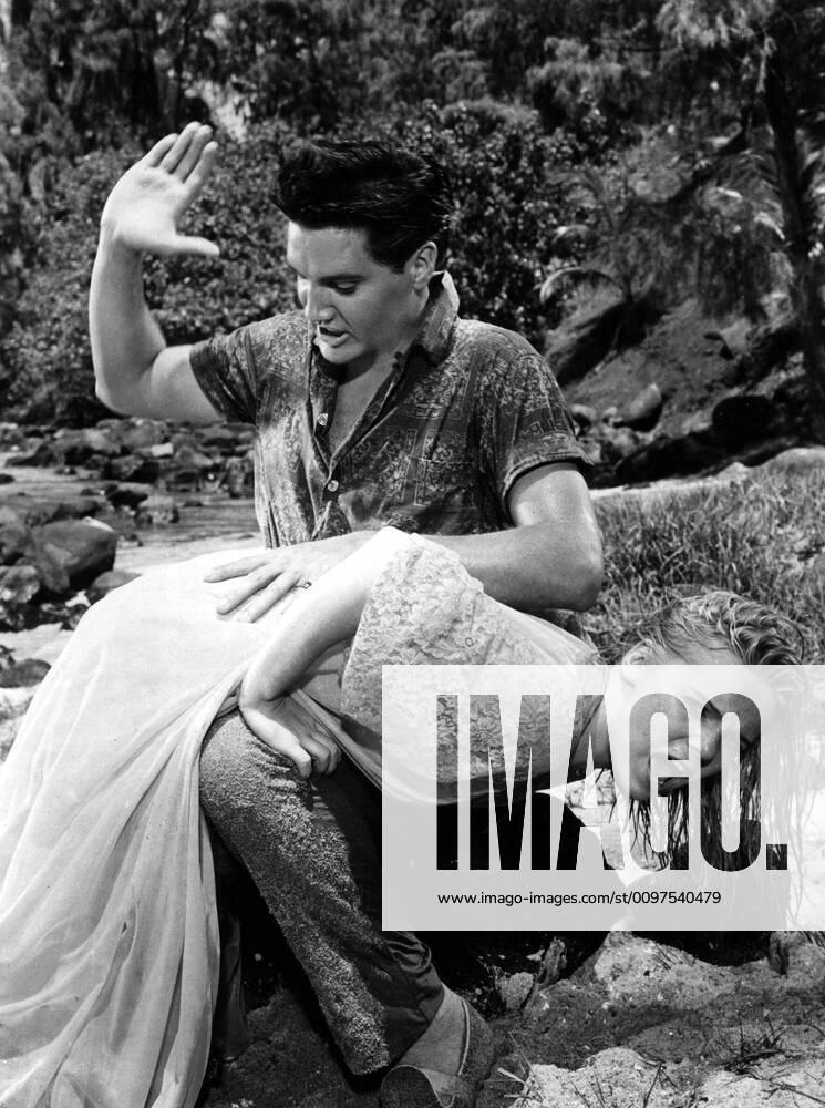 Jenny Maxwell Hi Guys, Jenny Maxwell Here! , If You’ve Been