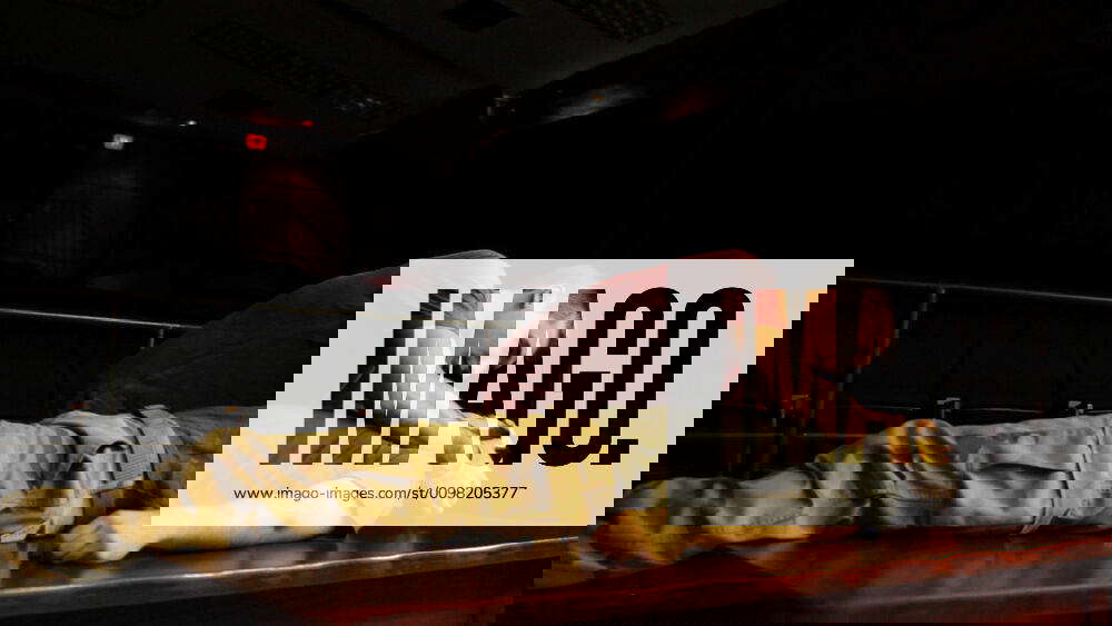 Seth Numrich Matt Doyle